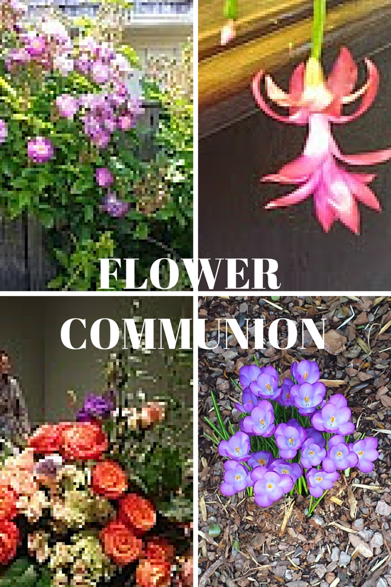 Flower Communion Sunday - Red River Unitarian Universalist Church Red ...